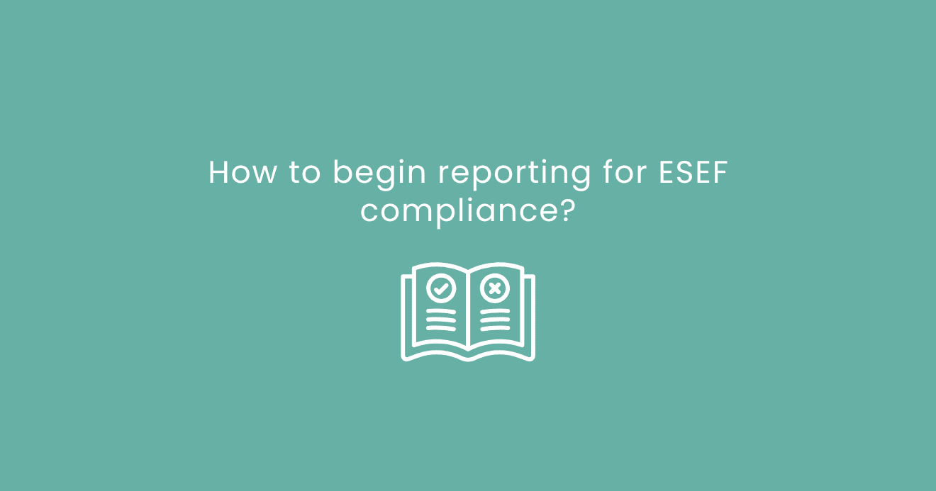 ESEF Compliance in Practice: A Step-by-Step Guide for Financial ...